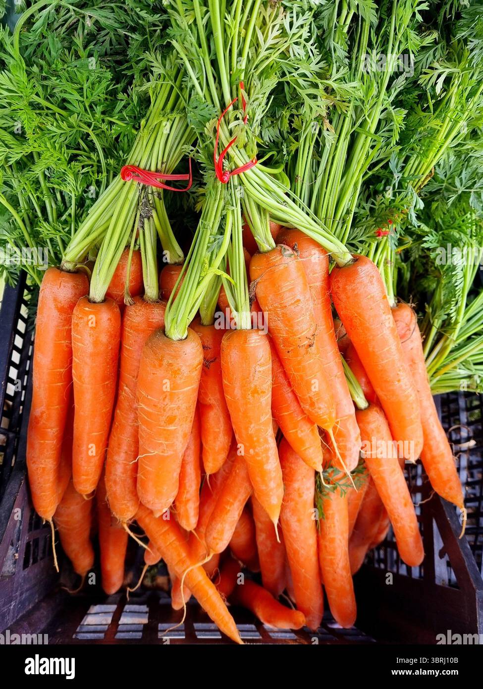 Nutritional value carrots hi-res stock photography and images - Alamy