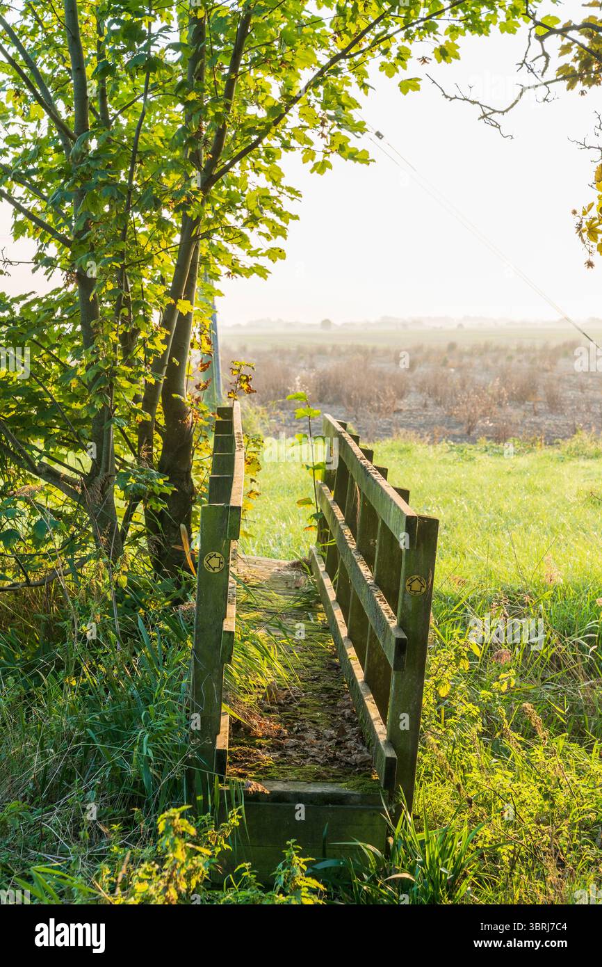Small footbridge over a little stream, leading to fields and marshland ...
