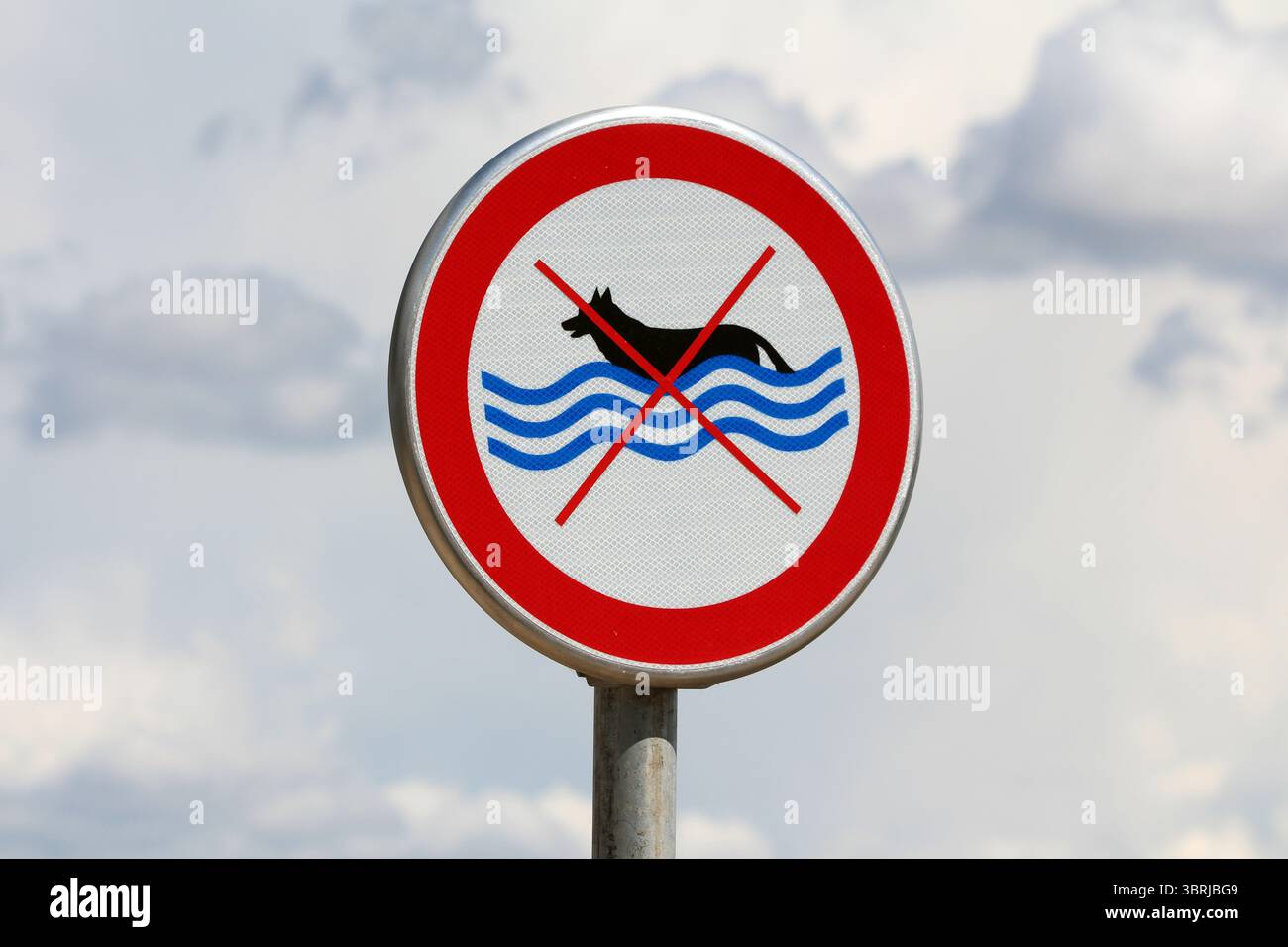 A circular prohibition sign features a black dog silhouette swimming in ...