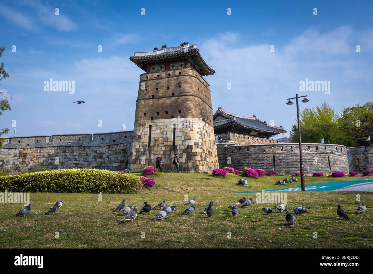 Summer at Suwon Old city wall at Hwaseong Fortress, Traditional ...