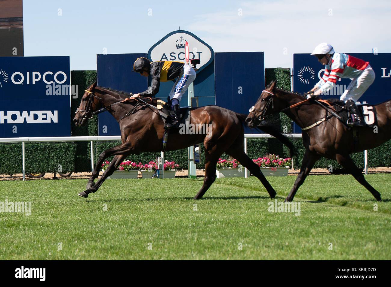Ascot, Berkshire, UK. 12th July, 2025. Horse MOUNT ATLAS ridden by ...