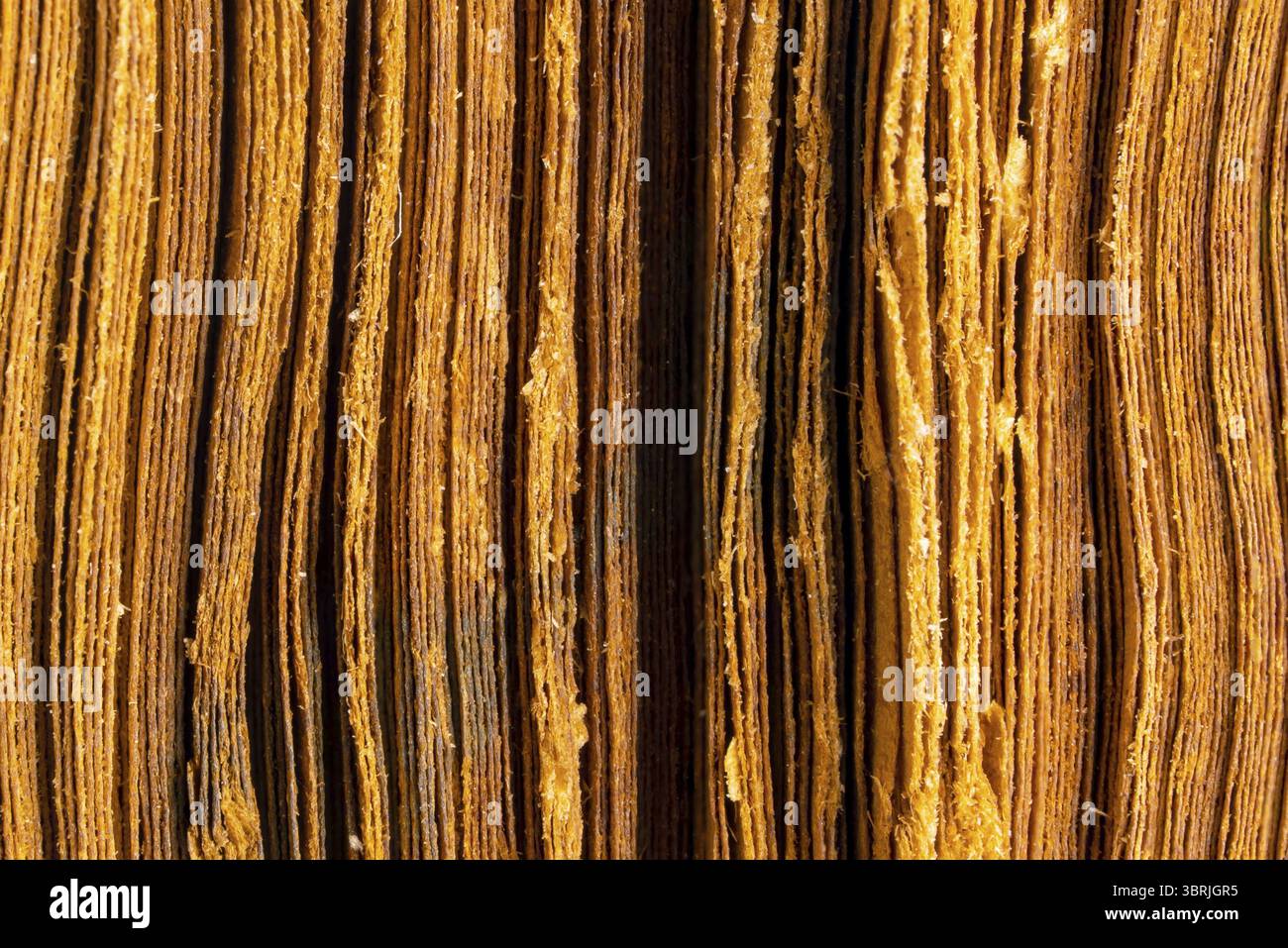 Closeup view of abstract shabby brown paper background of old closed ...