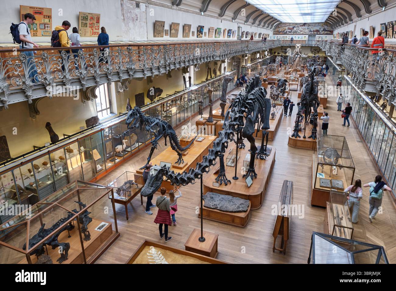 The Comparative Paleontology & Anatomy Gallery, museum in Paris, France ...