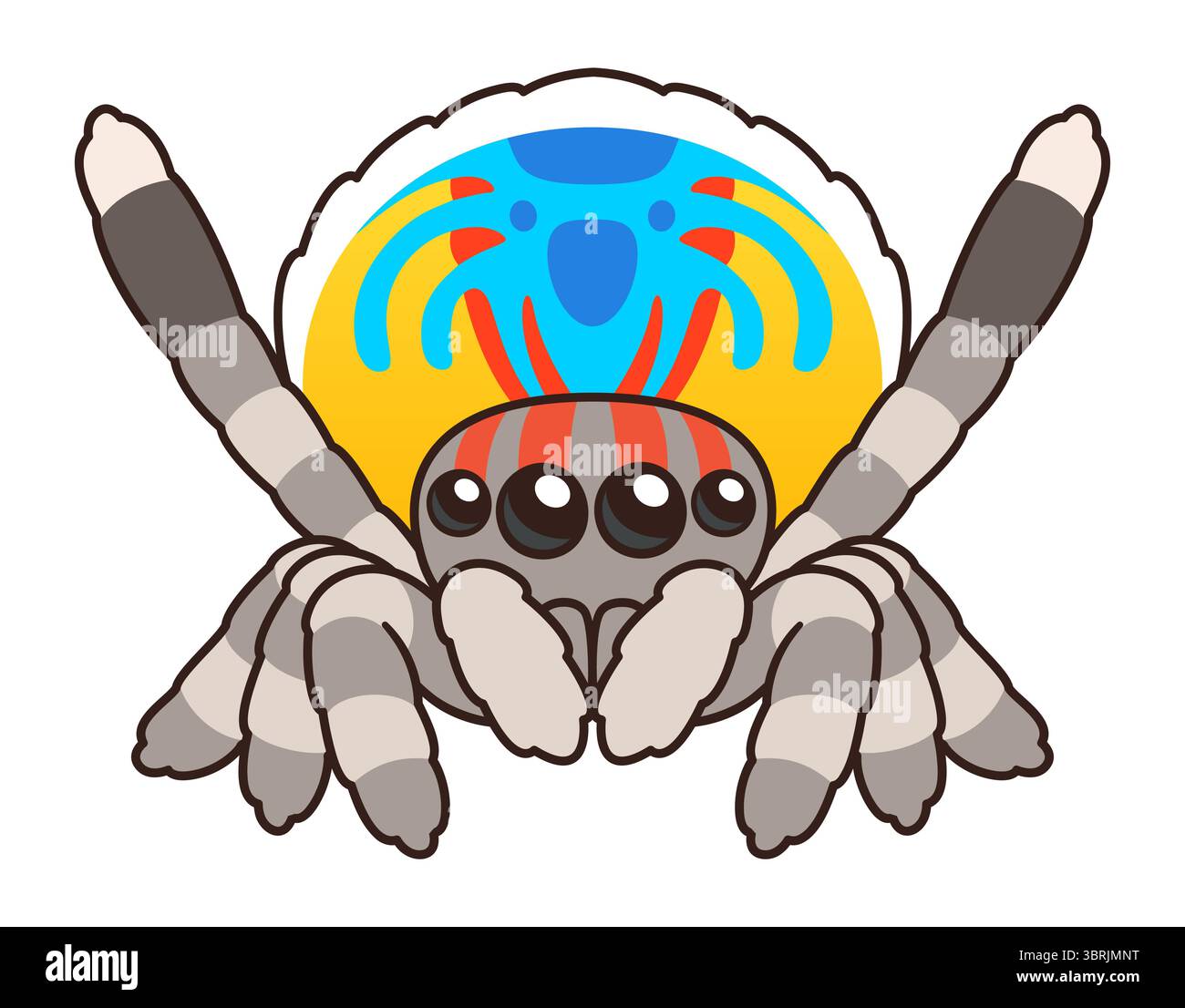 Cute cartoon male peacock spider doing courtship display dance. Kawaii ...