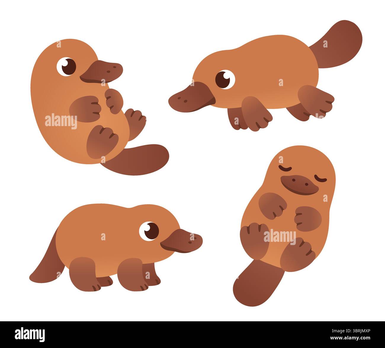 Cartoon platypus illustration set. Cute little platypus standing ...