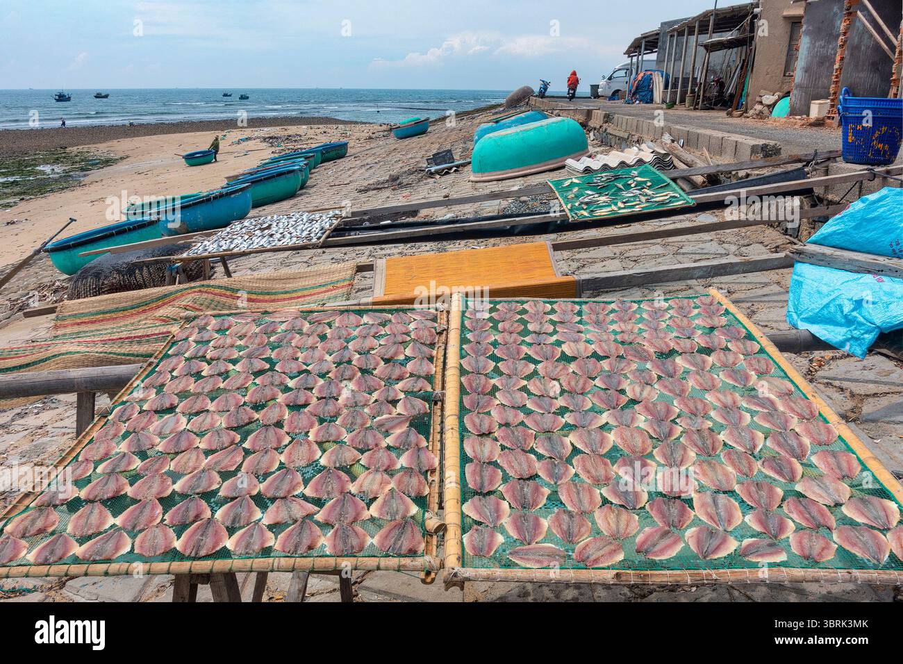 Peaceful summer day in a small fishing village in Tuy Phong, Binh Thuan ...
