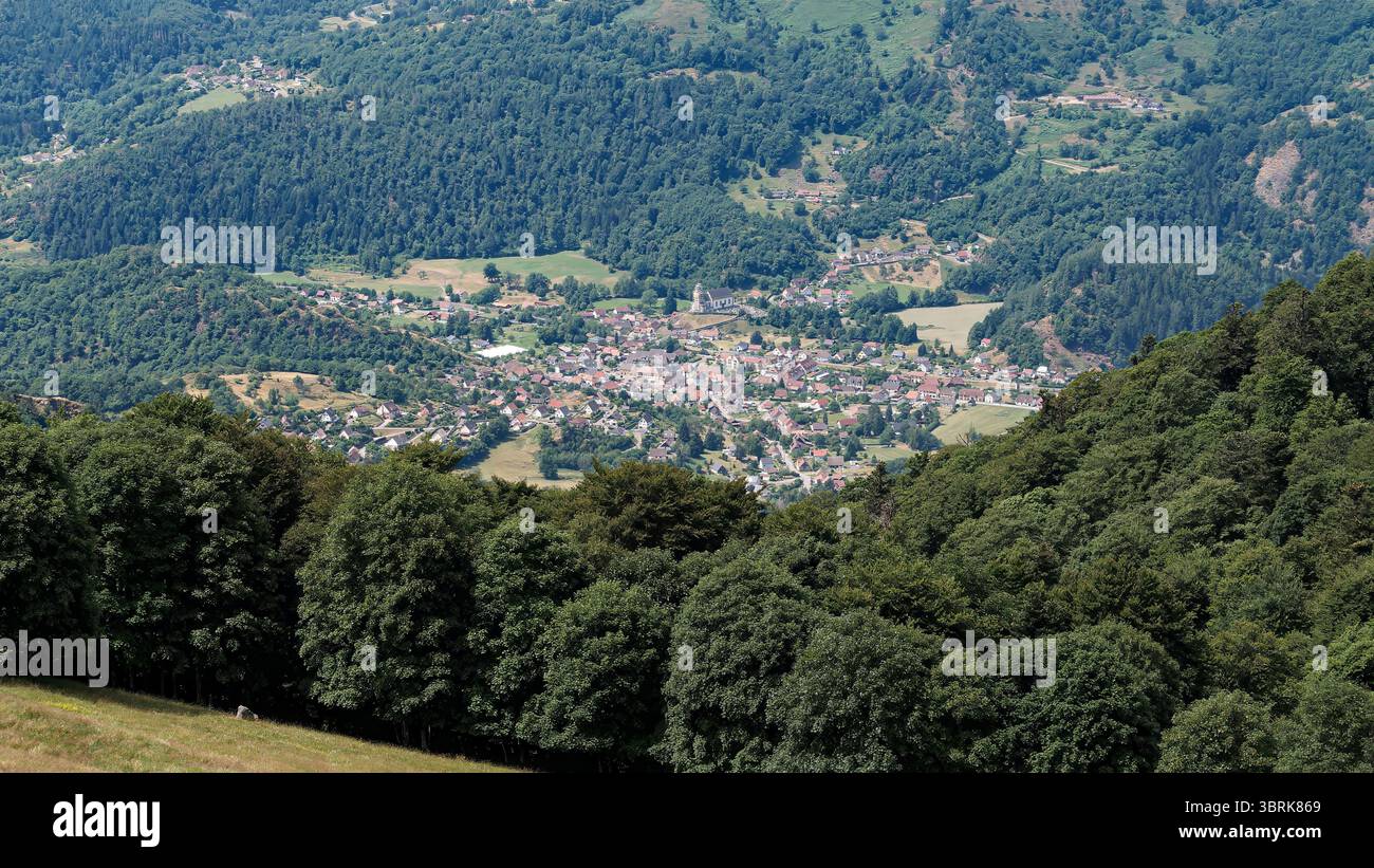 Lush forest small quiet town hi-res stock photography and images - Alamy