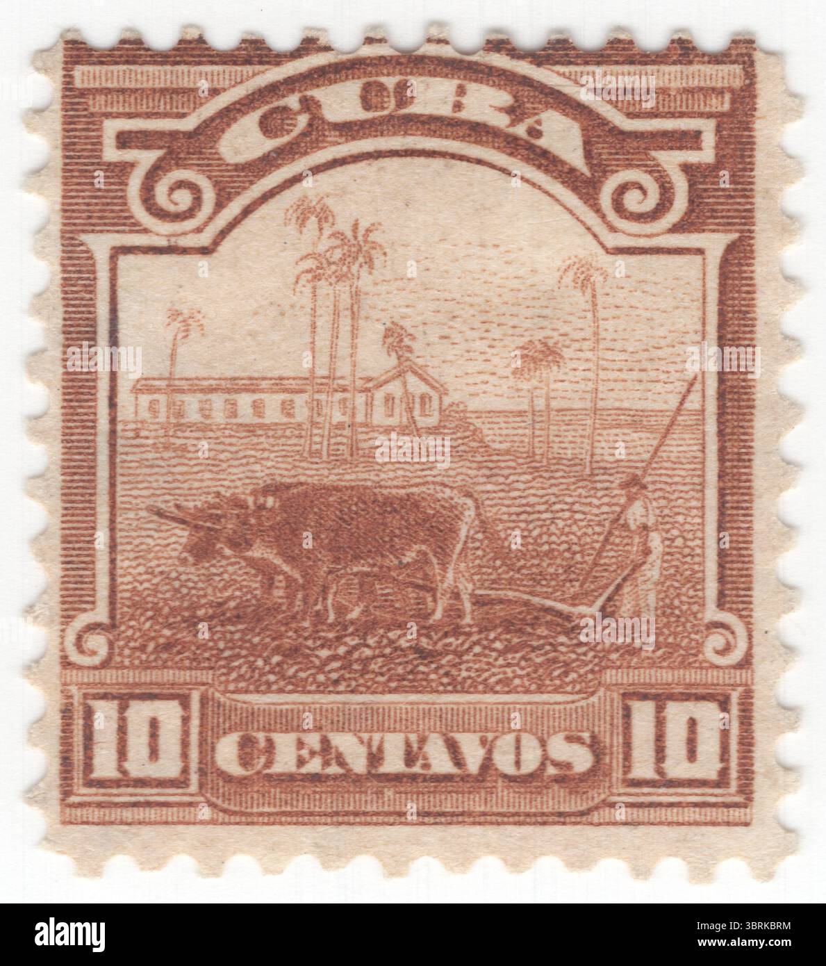 CUBA - 1899: 10 centavo brown postage stamp depicting Sugar Cane ...