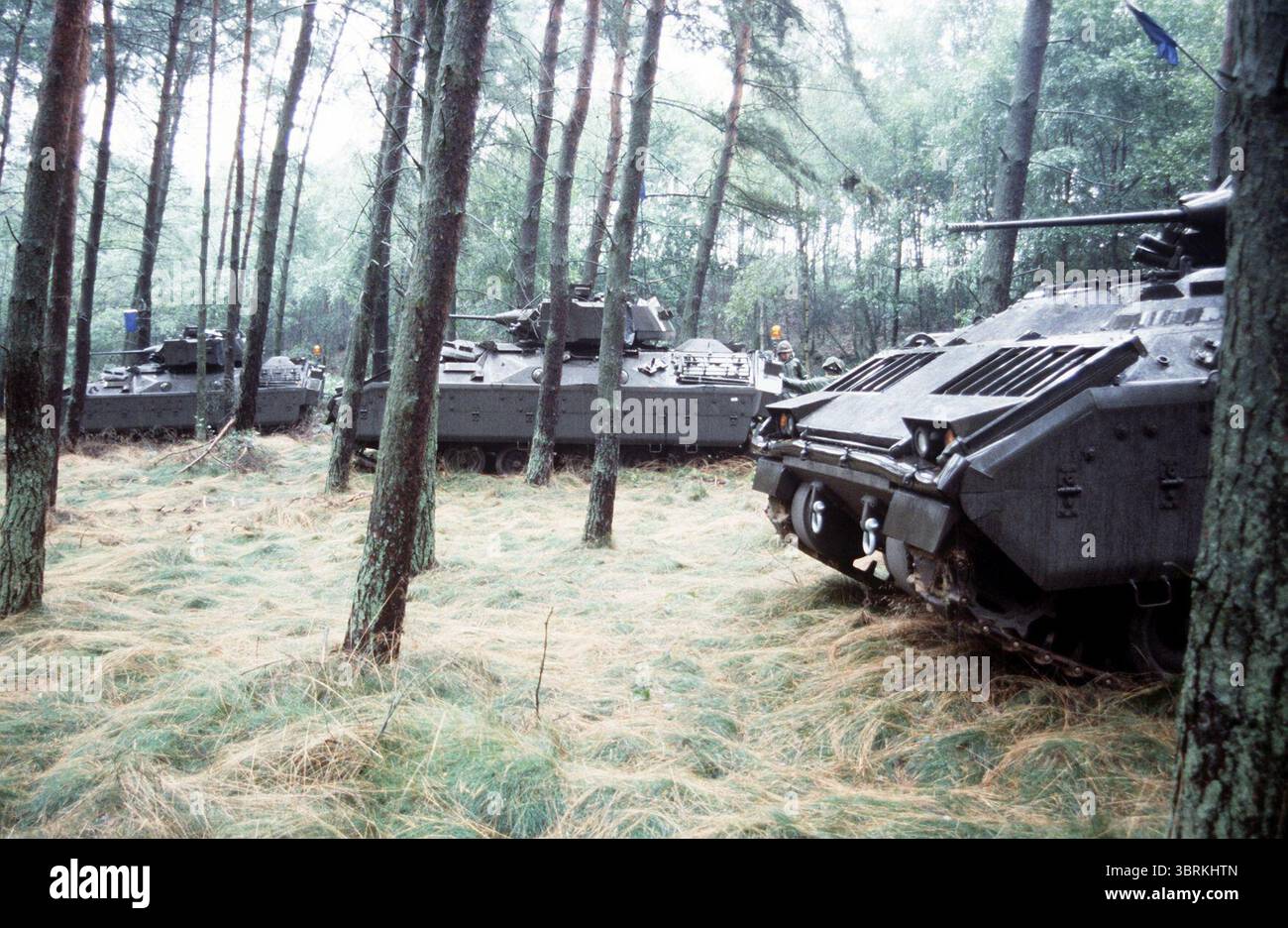 M2 Bradley infantry fighting vehicles line up in wooded area during ...