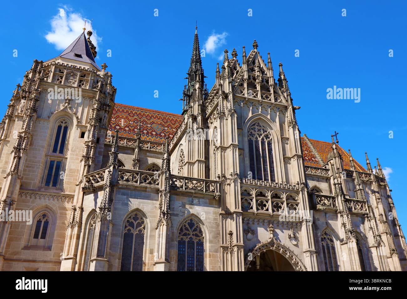 The Cathedral of St. Elizabeth in Kosice, Slovakia Stock Photo - Alamy