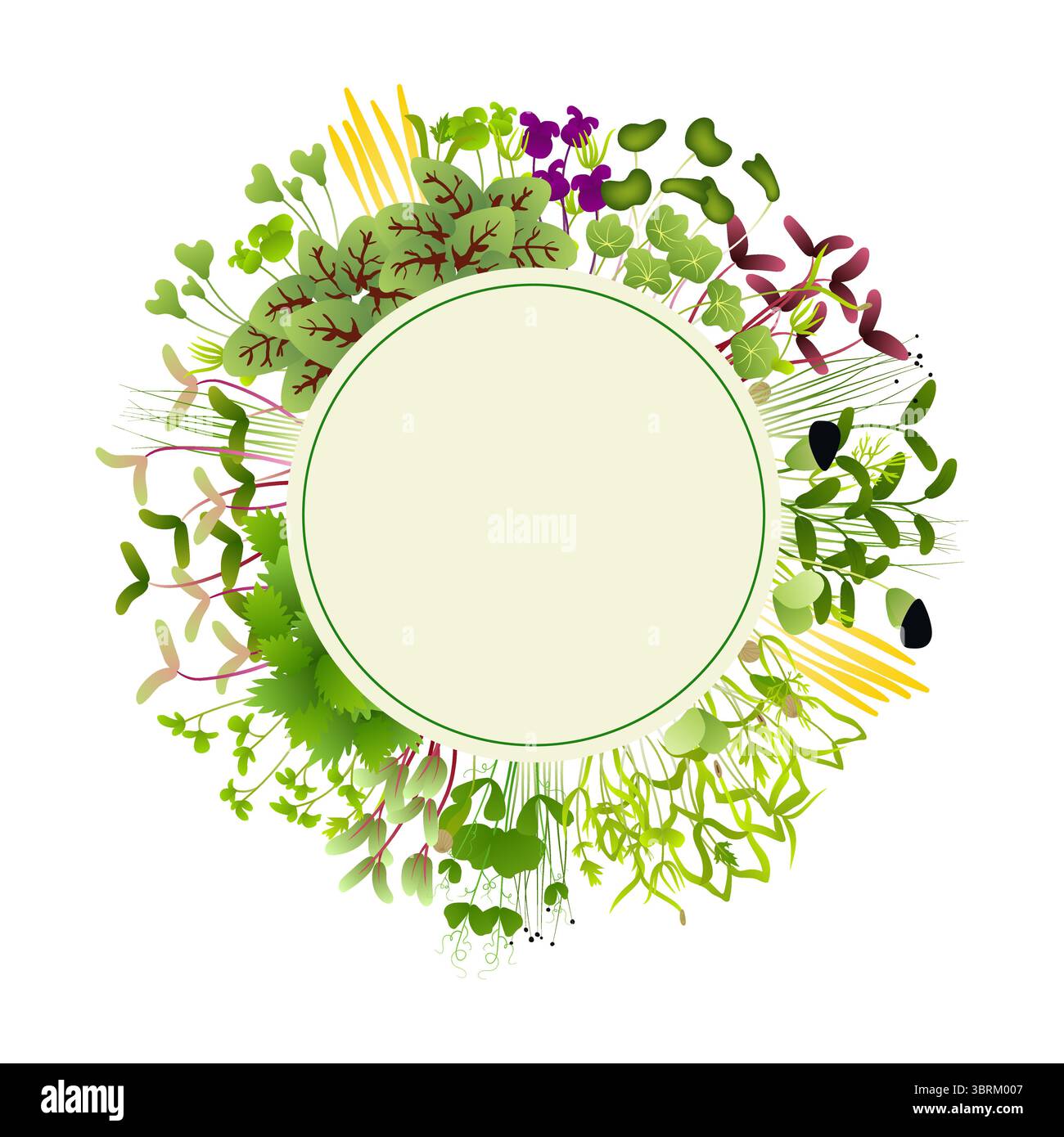 Healthy eating microgreens Stock Vector Images - Alamy