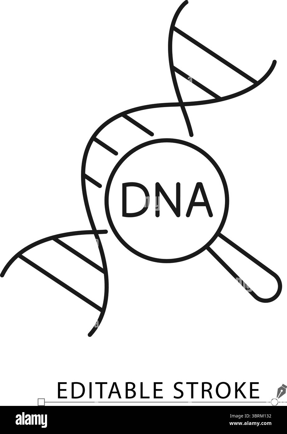 A DNA analysis icon in minimalist style with editable stroke. Genetic ...