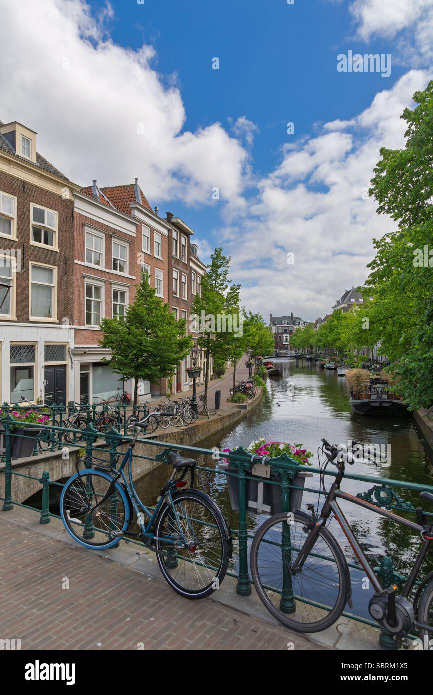 Vibrant canal scene in Leiden, Netherlands, featuring historic houses ...