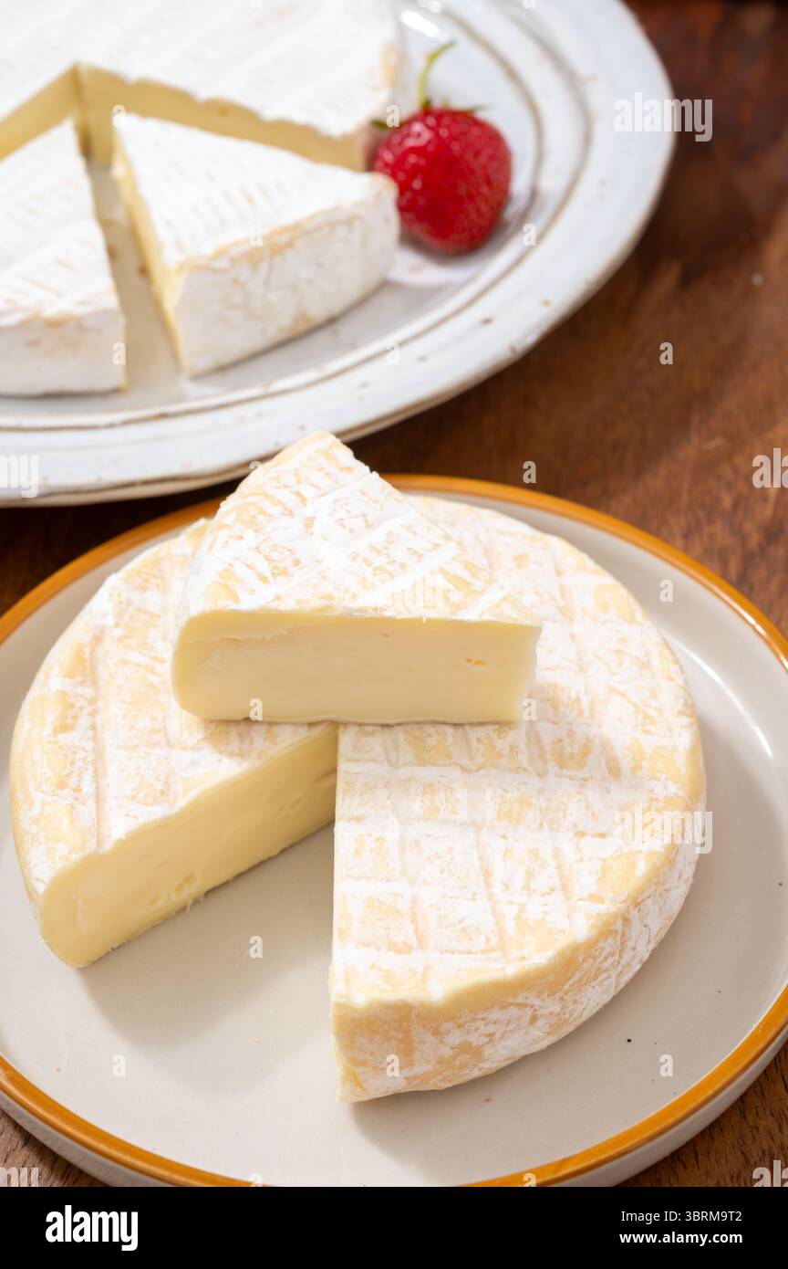 French soft cheeses collection, creamy matured cow's milk cheese le ...