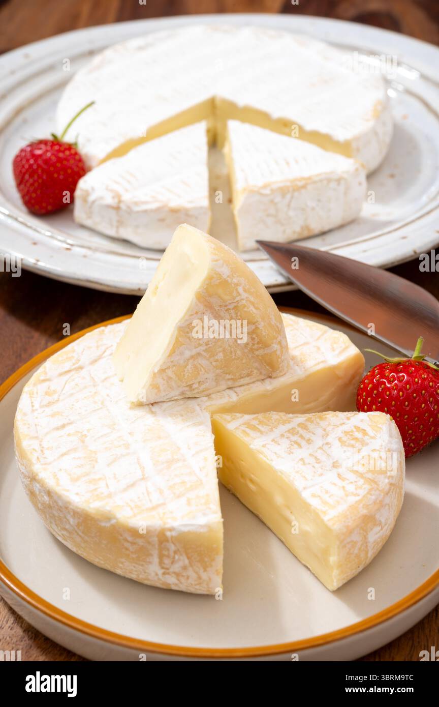 French soft cheeses collection, creamy matured cow's milk cheese le ...