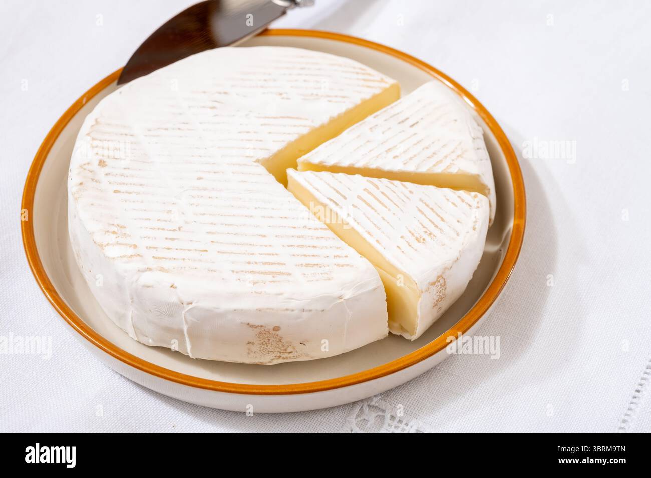 French soft cheeses collection, creamy matured cow's milk cheese roudou ...