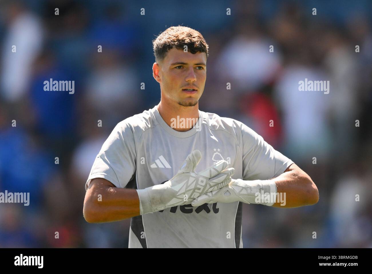 George murray jones hi-res stock photography and images - Alamy