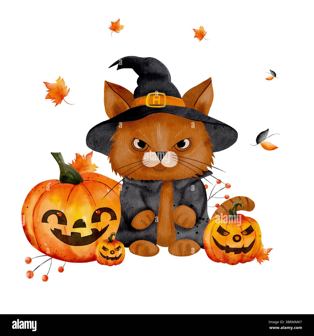 Cute cat in magical Cut Out Stock Images & Pictures - Alamy