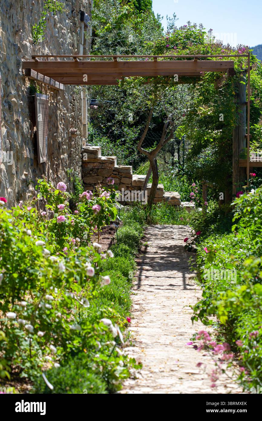 european rose garden in the south of france Stock Photo - Alamy