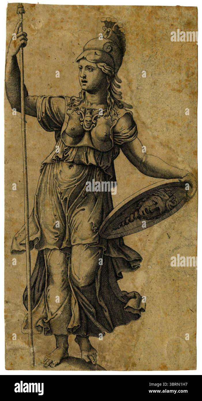 Pallas a Cut Out Stock Images & Pictures - Alamy