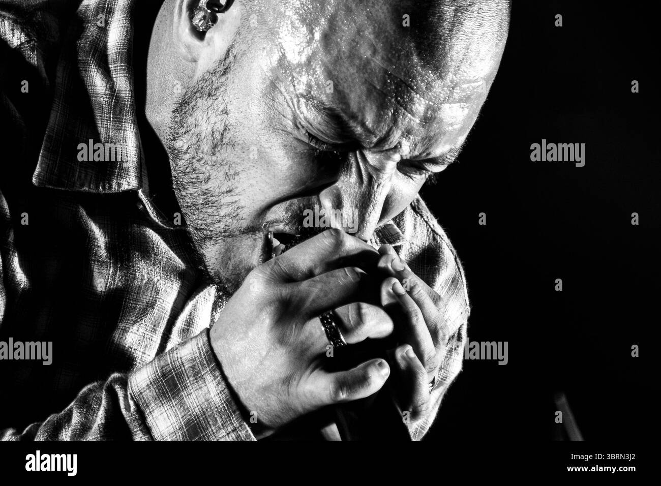 Ivo Rosario is the lead singer of the Portuguese Linkin Park tribute ...