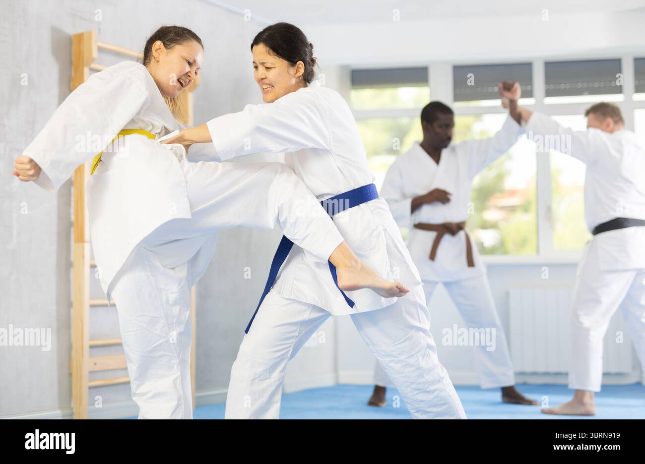 Adult and young women training judo techniques Stock Photo - Alamy