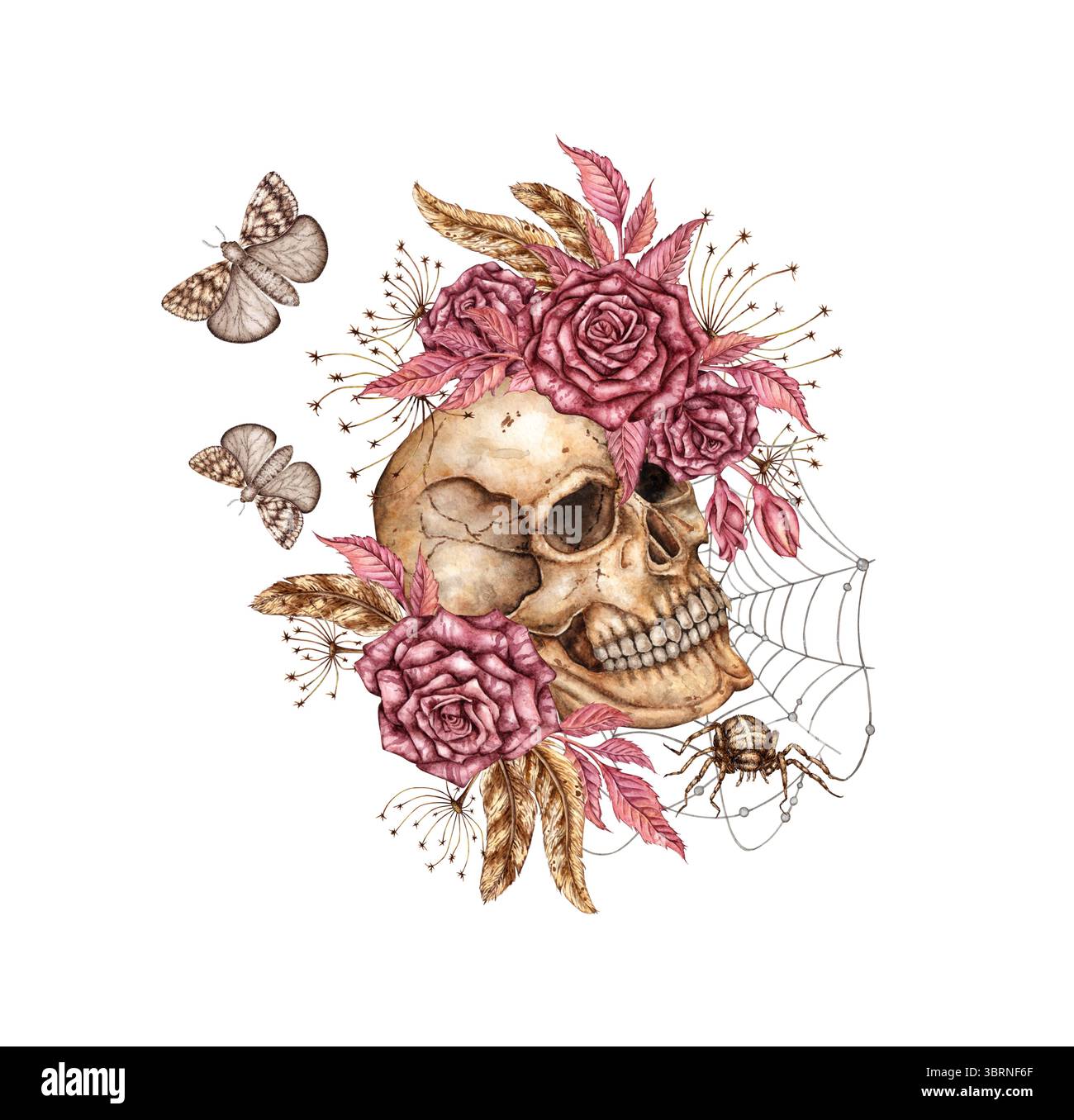 Skull with dark red roses, dried flowers, moths and spider web ...