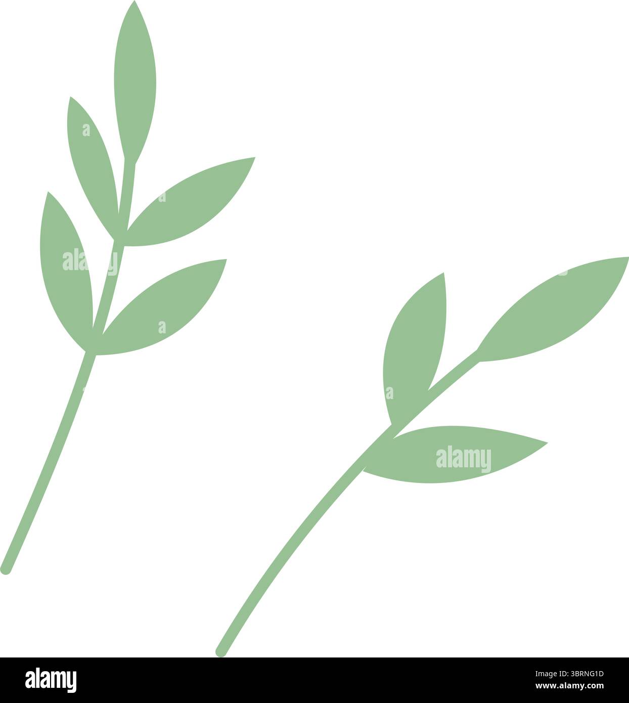 Flat Green Leaf And Branch Design Stock Vector Image & Art - Alamy