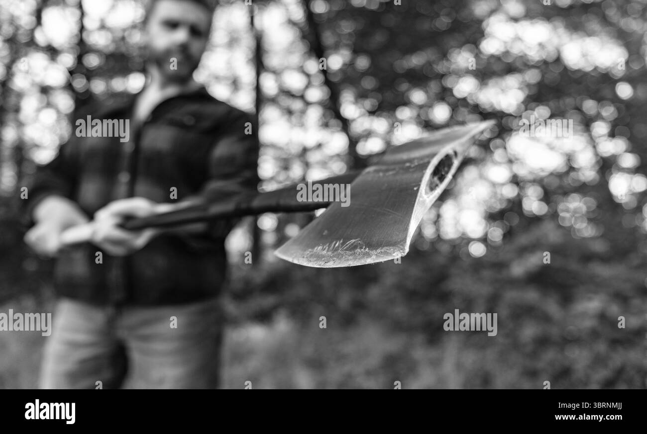 Cutting wood. Sharp blade. Brutality and masculinity. Lumberjack with ...