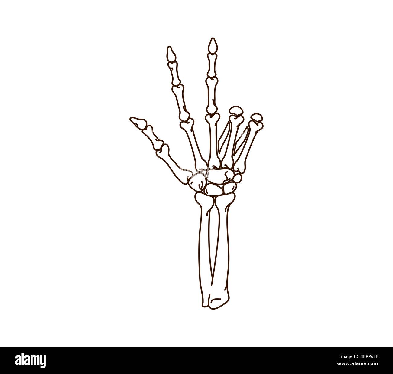 Cartoon groovy Halloween skeleton hand with gesture, vector horror ...