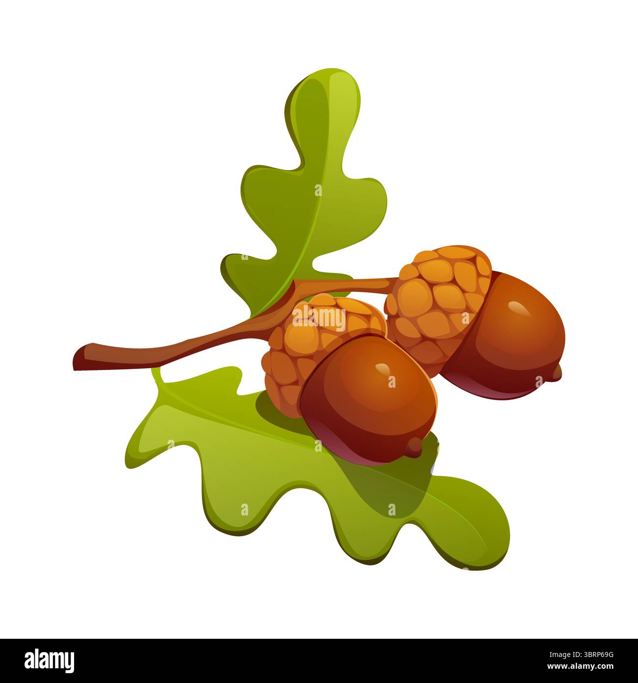 Cartoon autumn acorns attached to a twig with green oak leaves. Happy ...