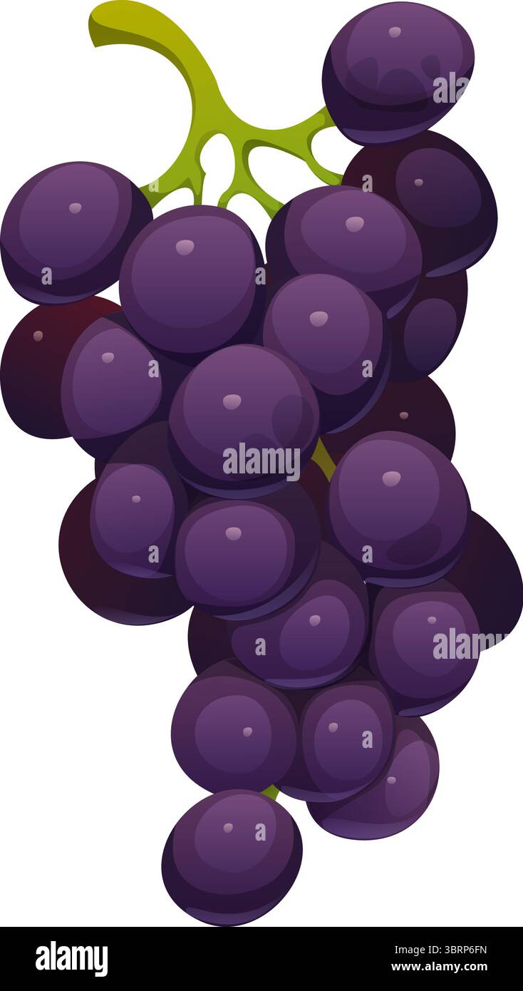 Deep purple grapes Stock Vector Images - Alamy