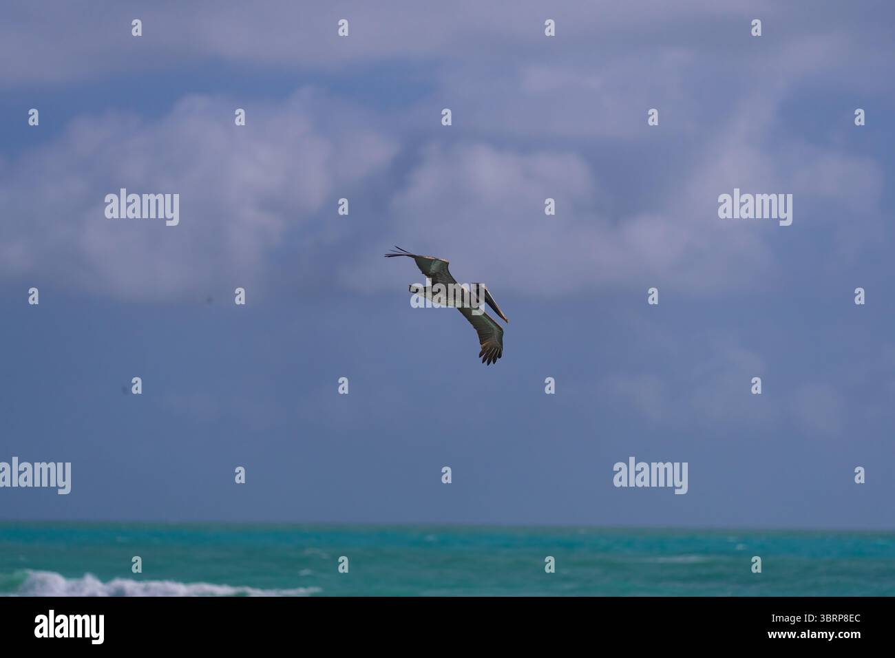 Sea beach sand. Scenic sea beach backdrop. Paradise ocean view. Foamy ...