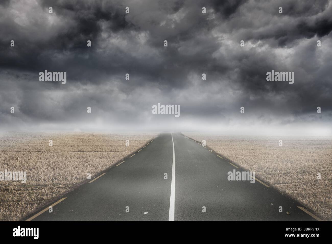 Misty brown landscape with street Stock Photo - Alamy
