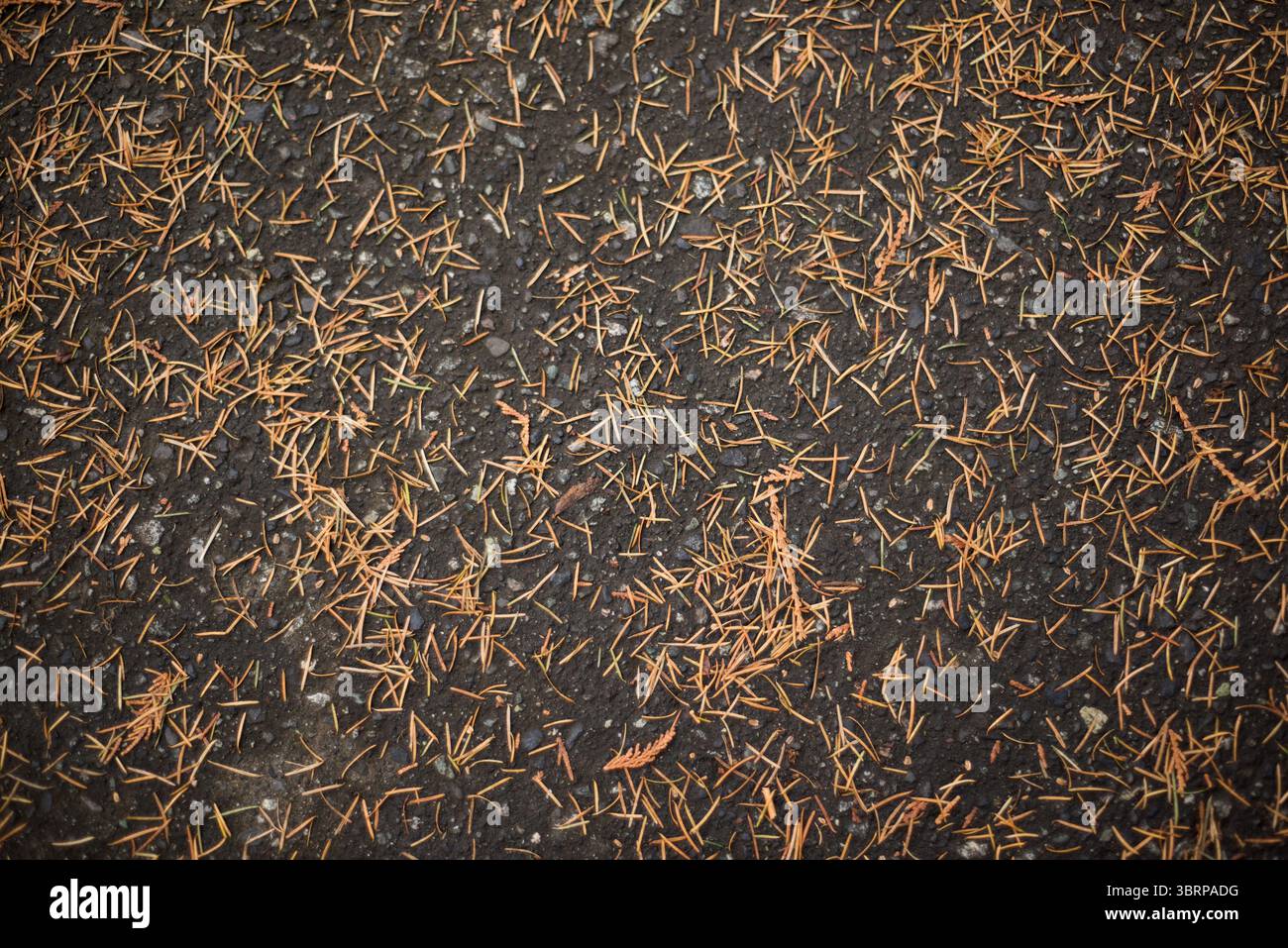 Aerial view serene countryside road hi-res stock photography and images ...