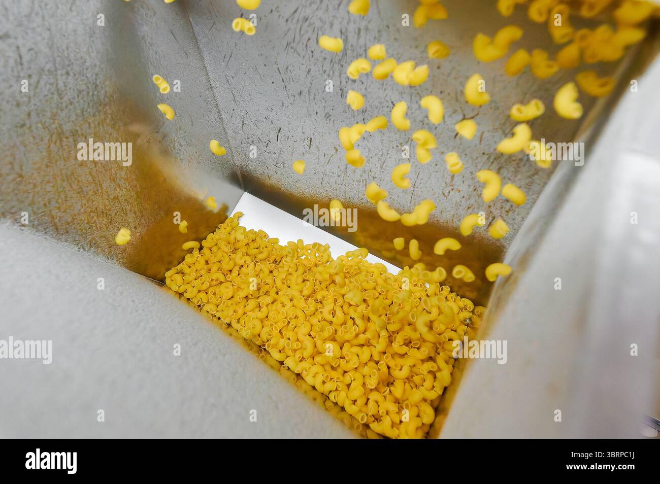 Pasta cascades gracefully into the collection hopper of a busy ...