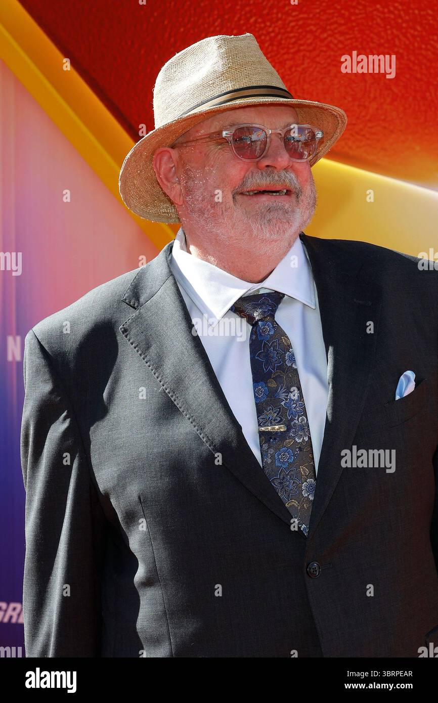 LOS ANGELES - JUL 7: Pruitt Taylor Vince at the Superman LA Premiere at ...