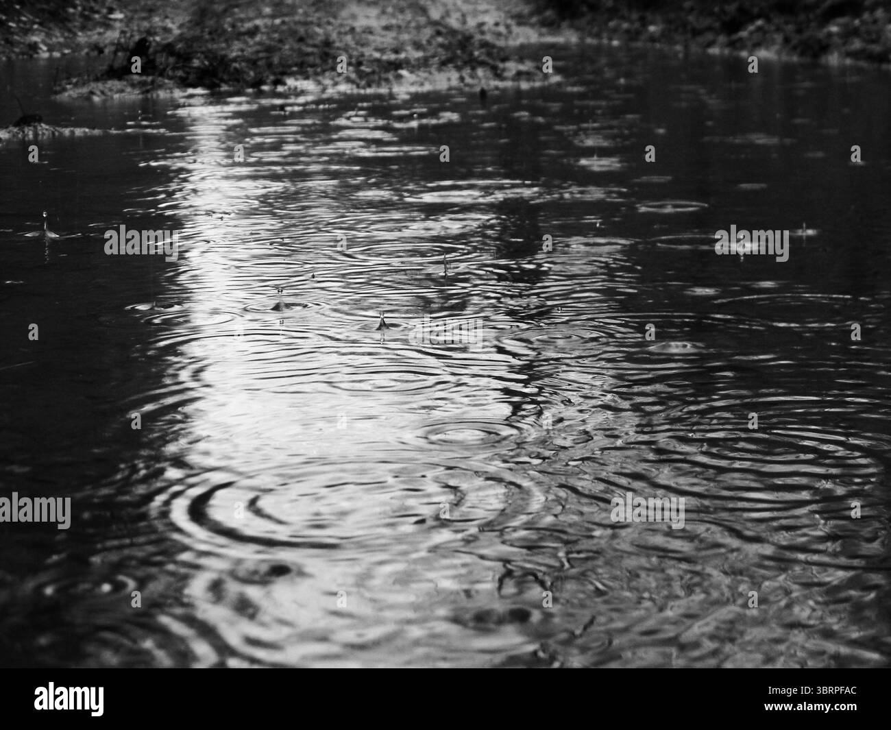 Puddle of white liquid Black and White Stock Photos & Images - Alamy