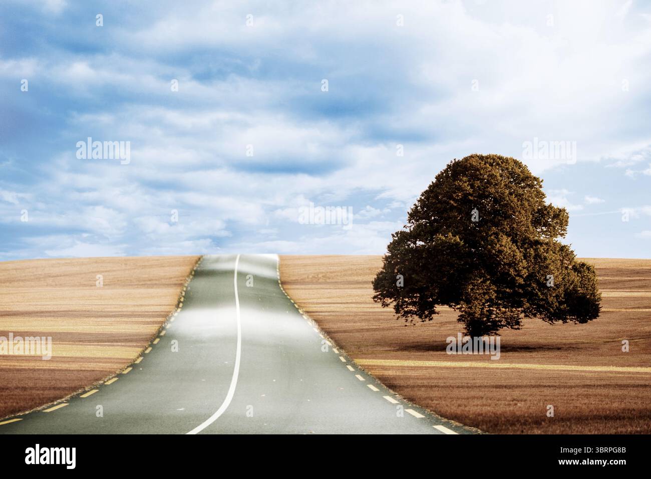 Road leading out to the horizon Stock Photo - Alamy