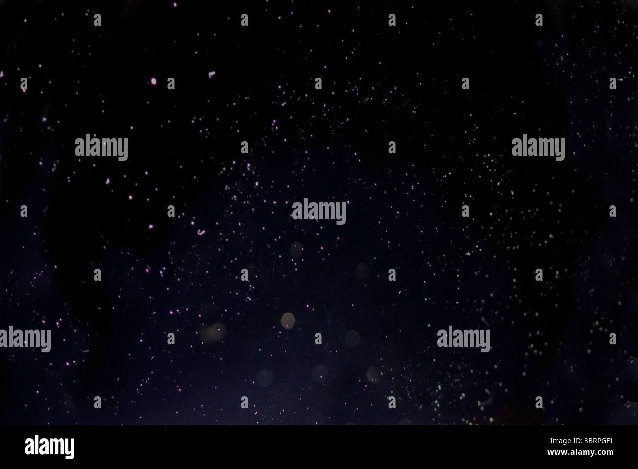 Floating specks hi-res stock photography and images - Alamy