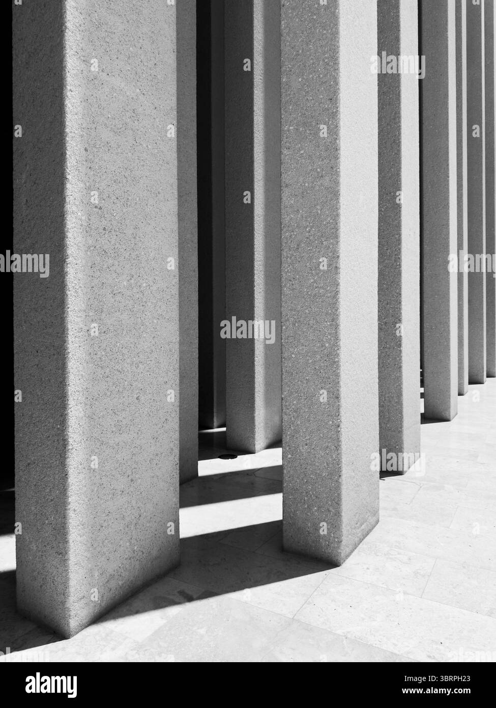black and white architectural columns with light and shadow contrast ...