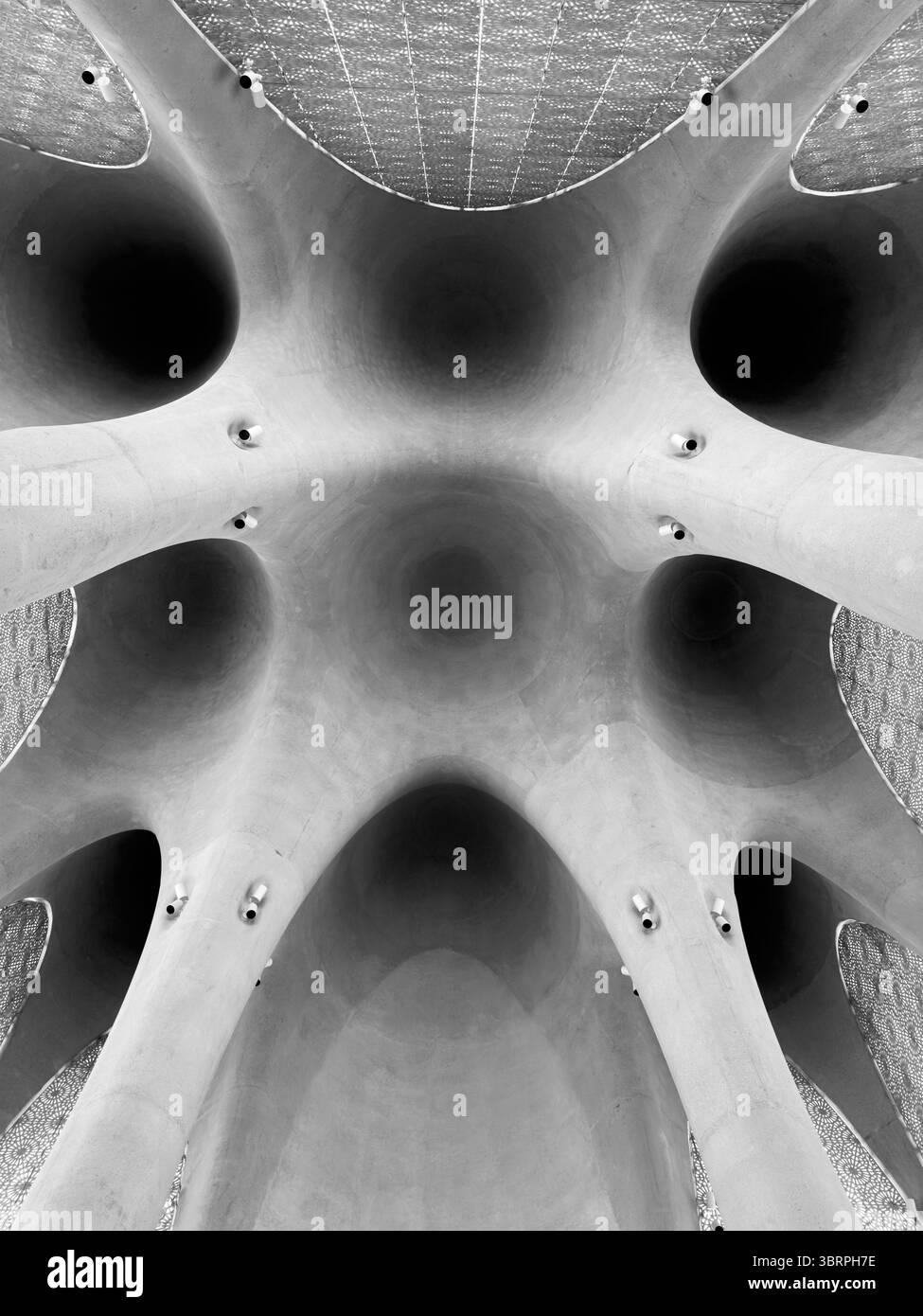 Modern Architectural concrete Ceiling with Organic Concrete Forms in ...