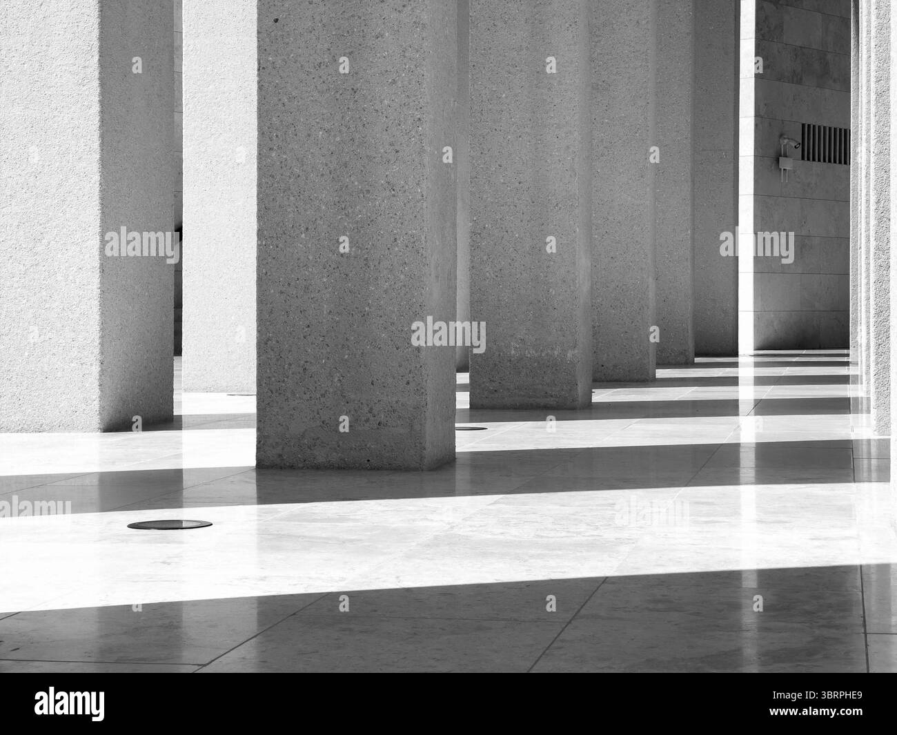 Modern architectural building with tall columns and dramatic light and ...