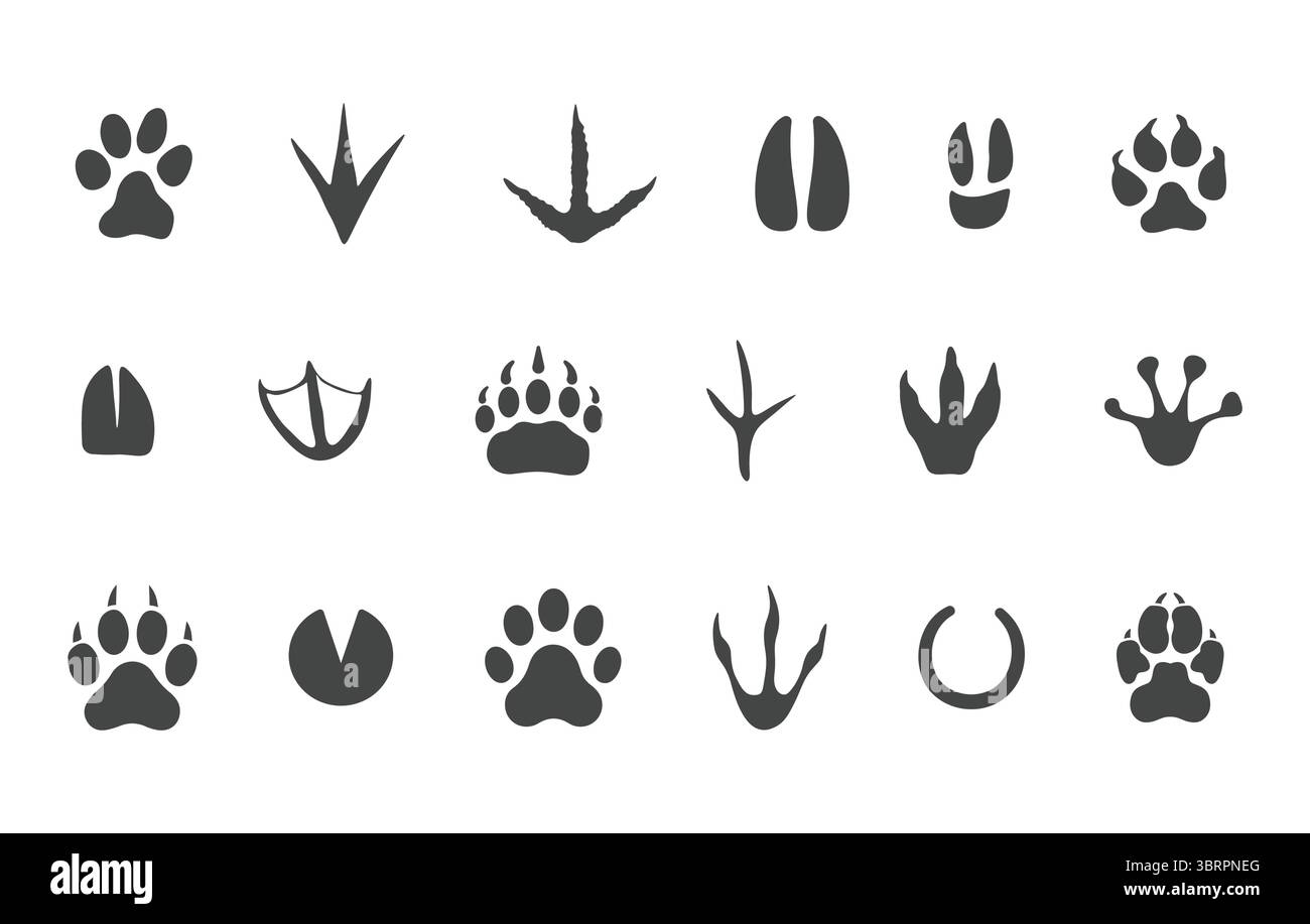 Animal Footprint Silhouette, Animal Footprint Svg, Animal Footprint Vector, Animal Tracks Svg ...