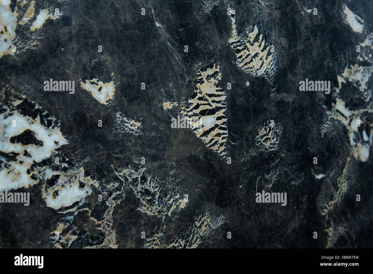Marble surface table background hi-res stock photography and images - Alamy