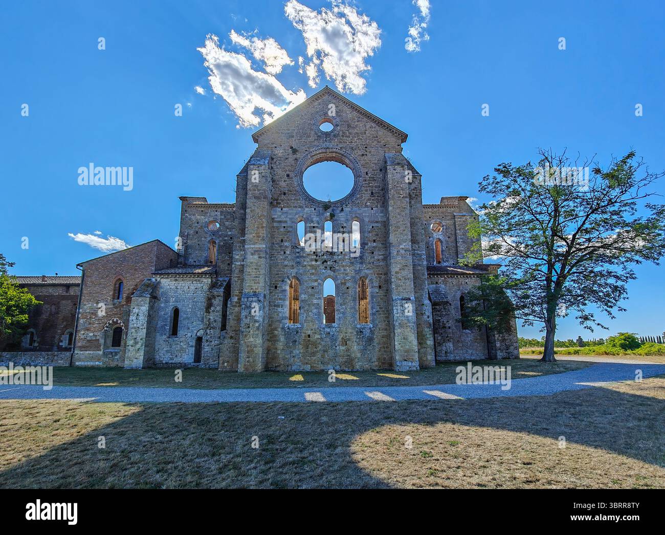 Built in the 13th century, the roofless walls of the Gothic style 13th ...