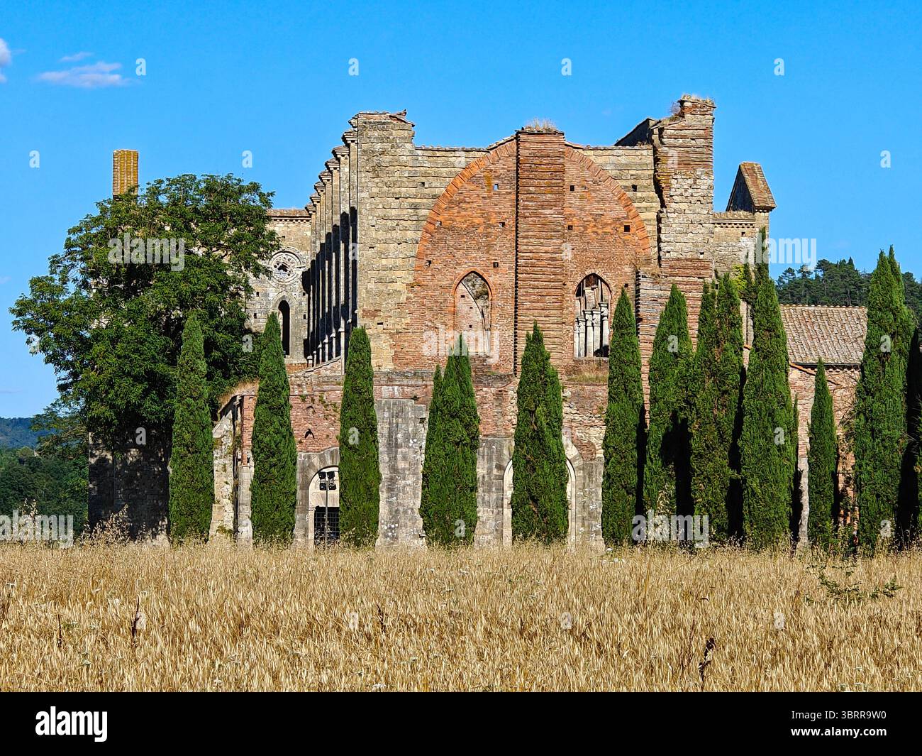 Built in the 13th century, the roofless walls of the Gothic style 13th ...