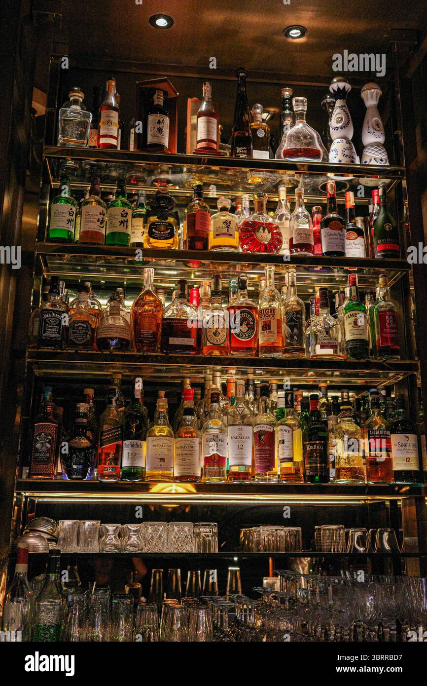 A luxurious backlit bar shelf filled with an extensive collection of ...