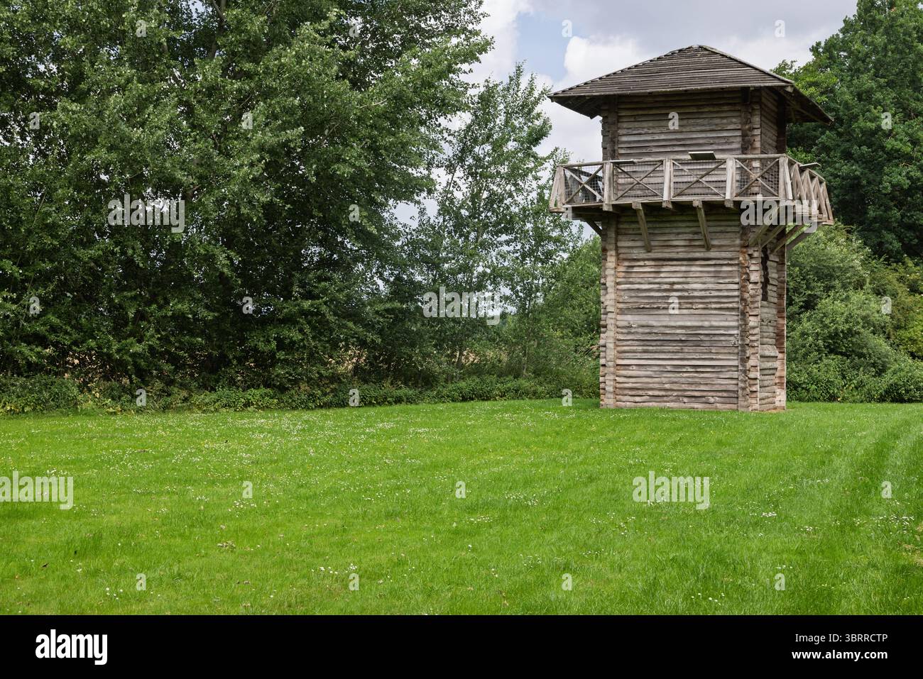 Tower surrounded dense trees hi-res stock photography and images - Alamy
