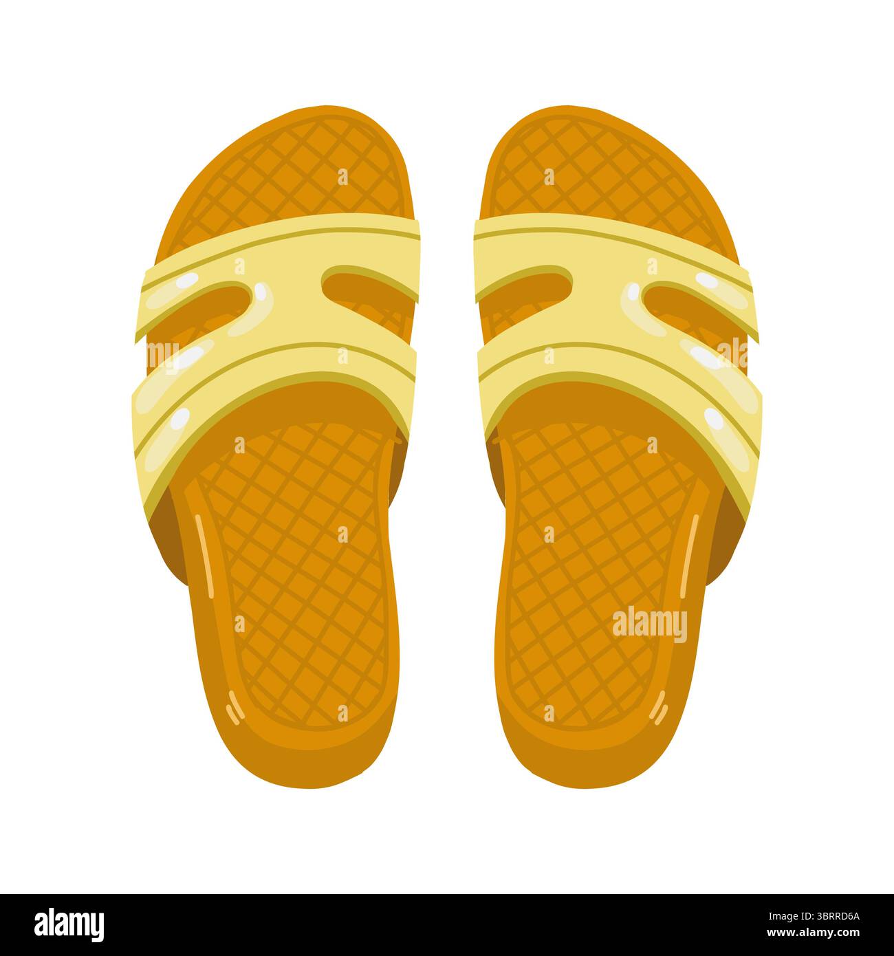 Vector illustration showcasing summer sandals isolated on white ...